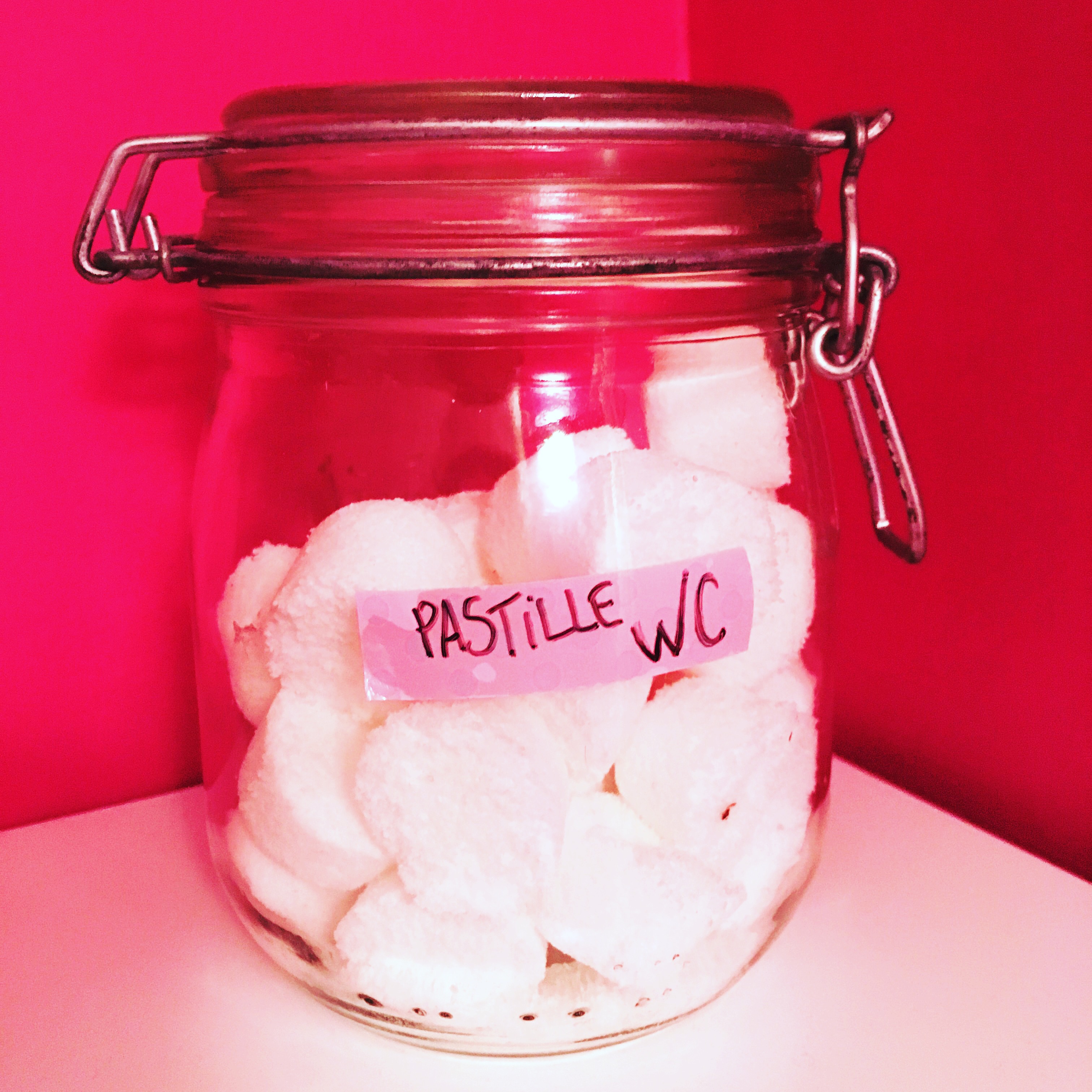 Les pastilles wc maison - Chez TitVal